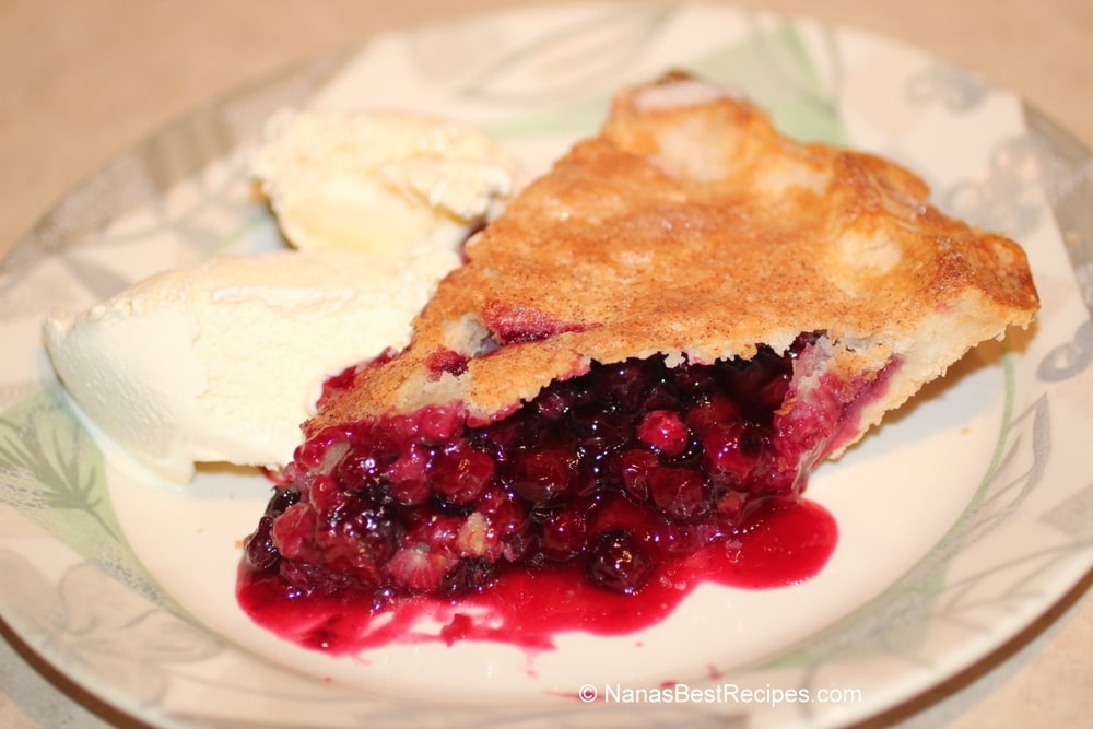 The Top 20 Must-Try Famous Canadian Food [2026 ]