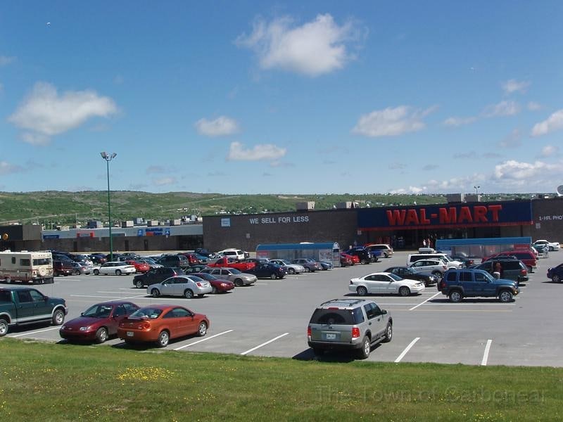 Avoid the Crowds: When to Visit Newfoundland in the Off-Season [2025]