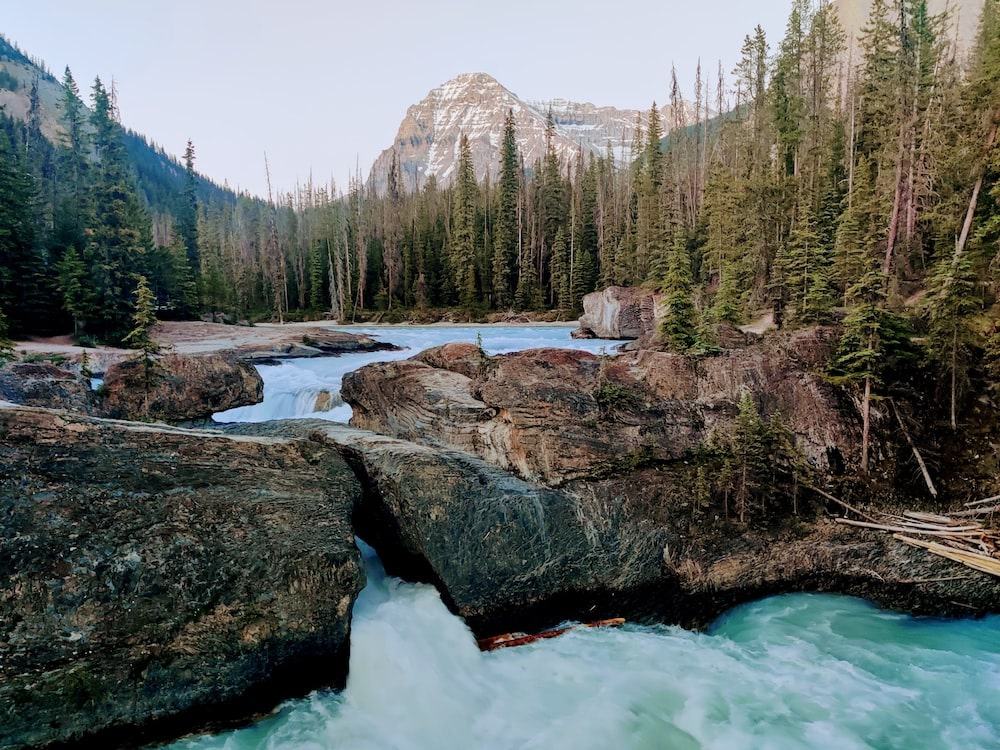 A Guide to Emerald Lake (+ Local Tips!) [2026 ]