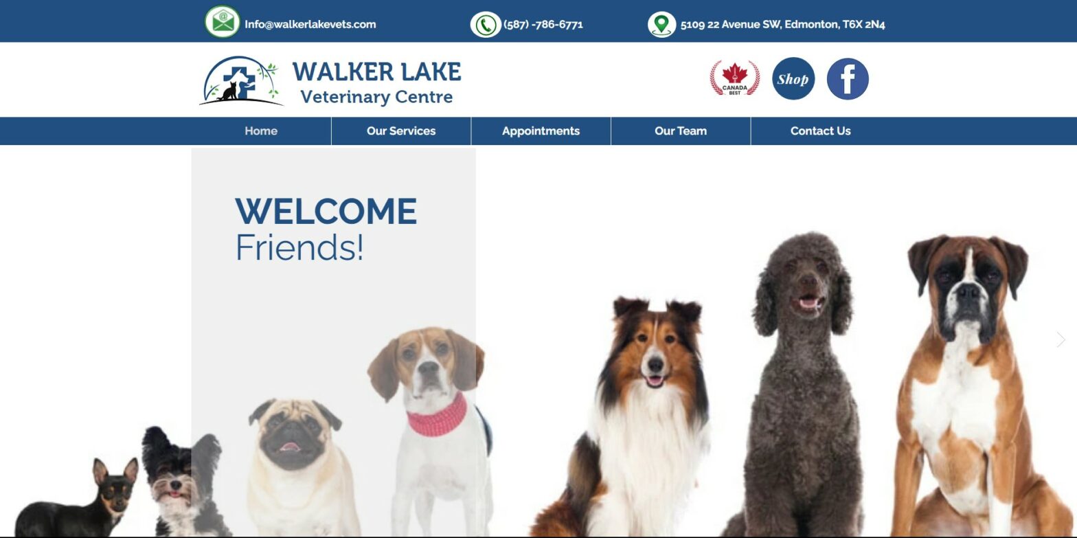 The 7 Most Recommended Vet Clinics in Edmonton [2026 ]