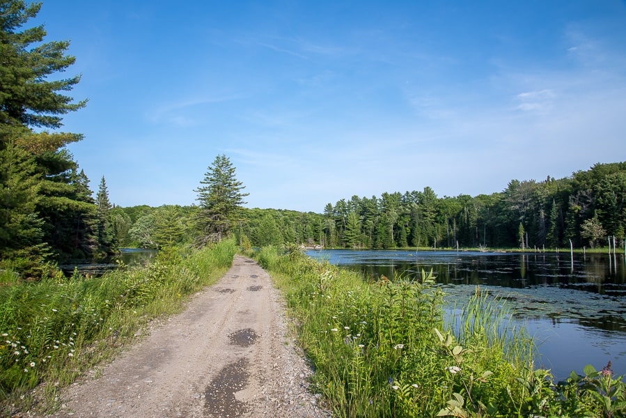 Our Picks: The Top 10 Bike Trails in Ontario [2026]