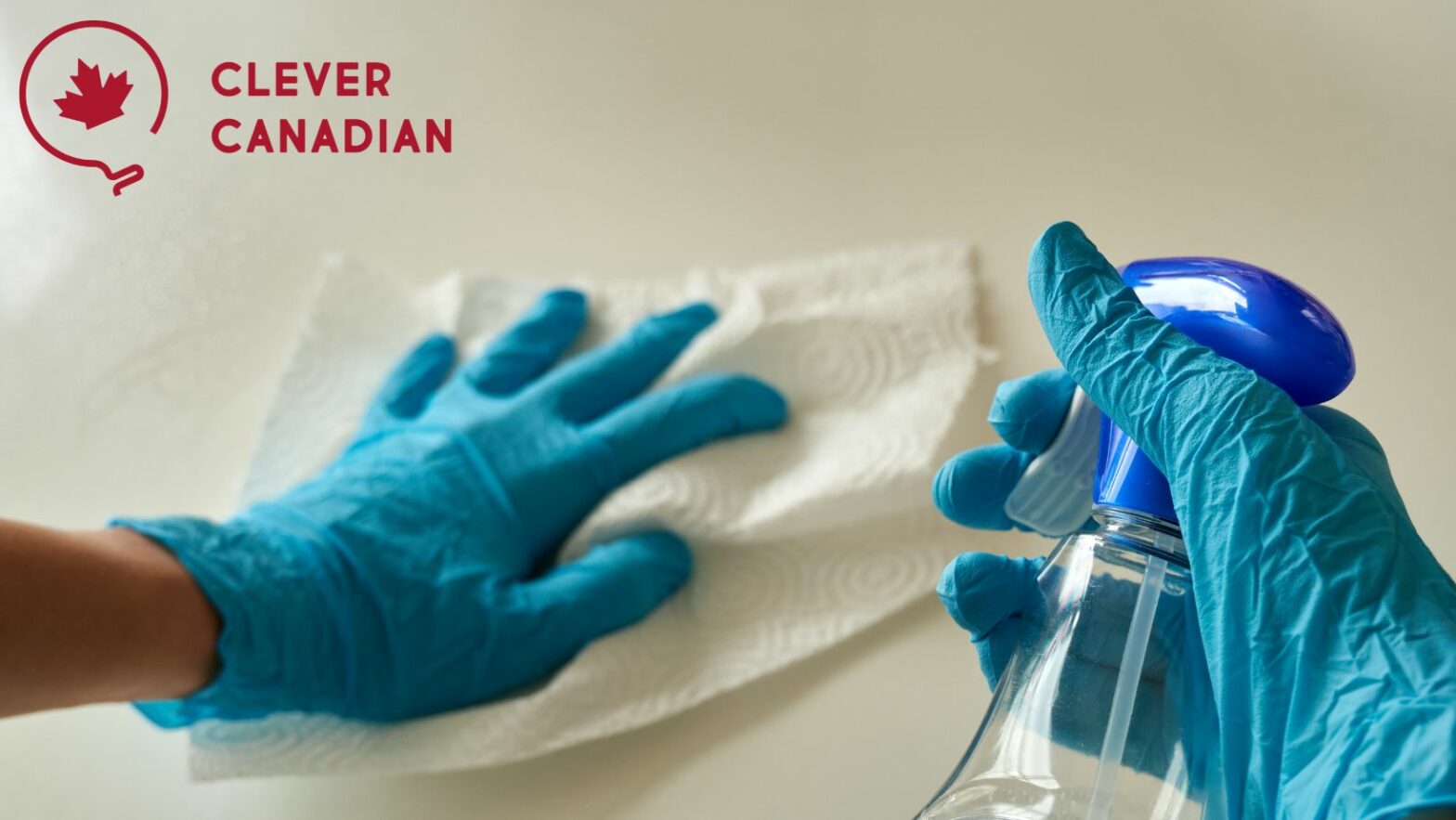 Edmonton's Top 4 Professional House Cleaners
