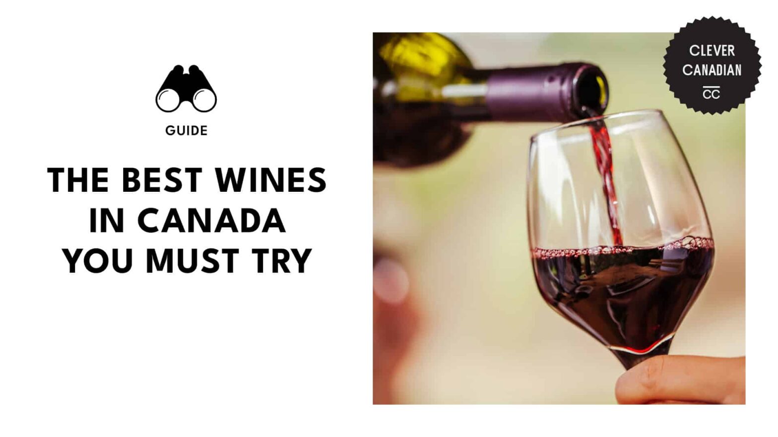 10 of the Best Canadian Wines You Need to Try [2026 ]