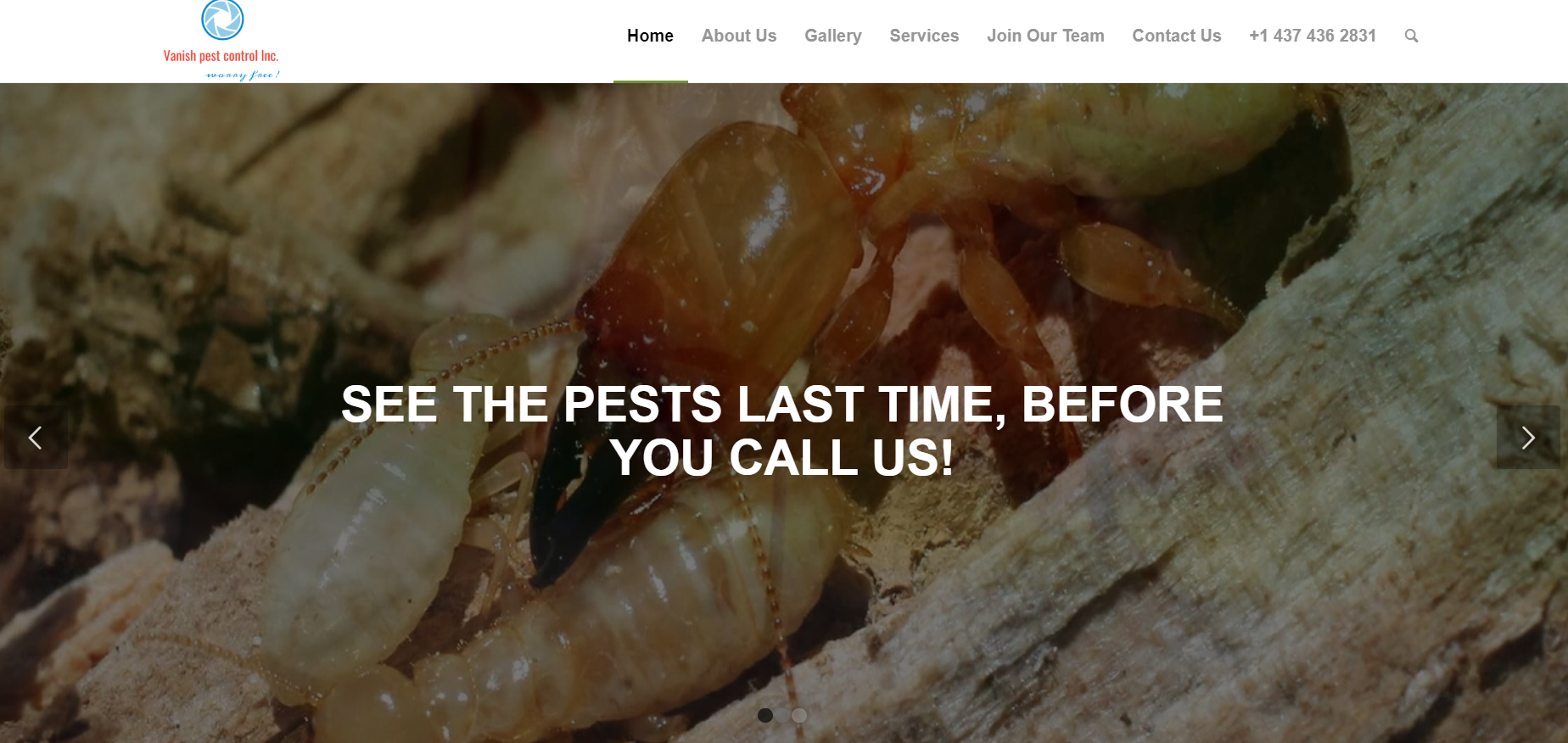 Reviewed: Top 8 Pest Control Services in Toronto [2026 ]