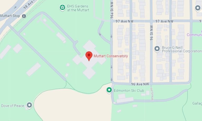 Things You MUST Know before Visiting Muttart Conservatory