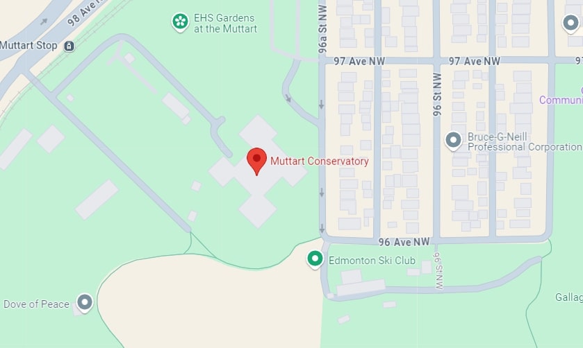 Things You MUST Know before Visiting Muttart Conservatory