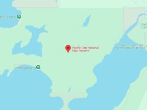 All You MUST Know about Pacific Rim National Park Reserve