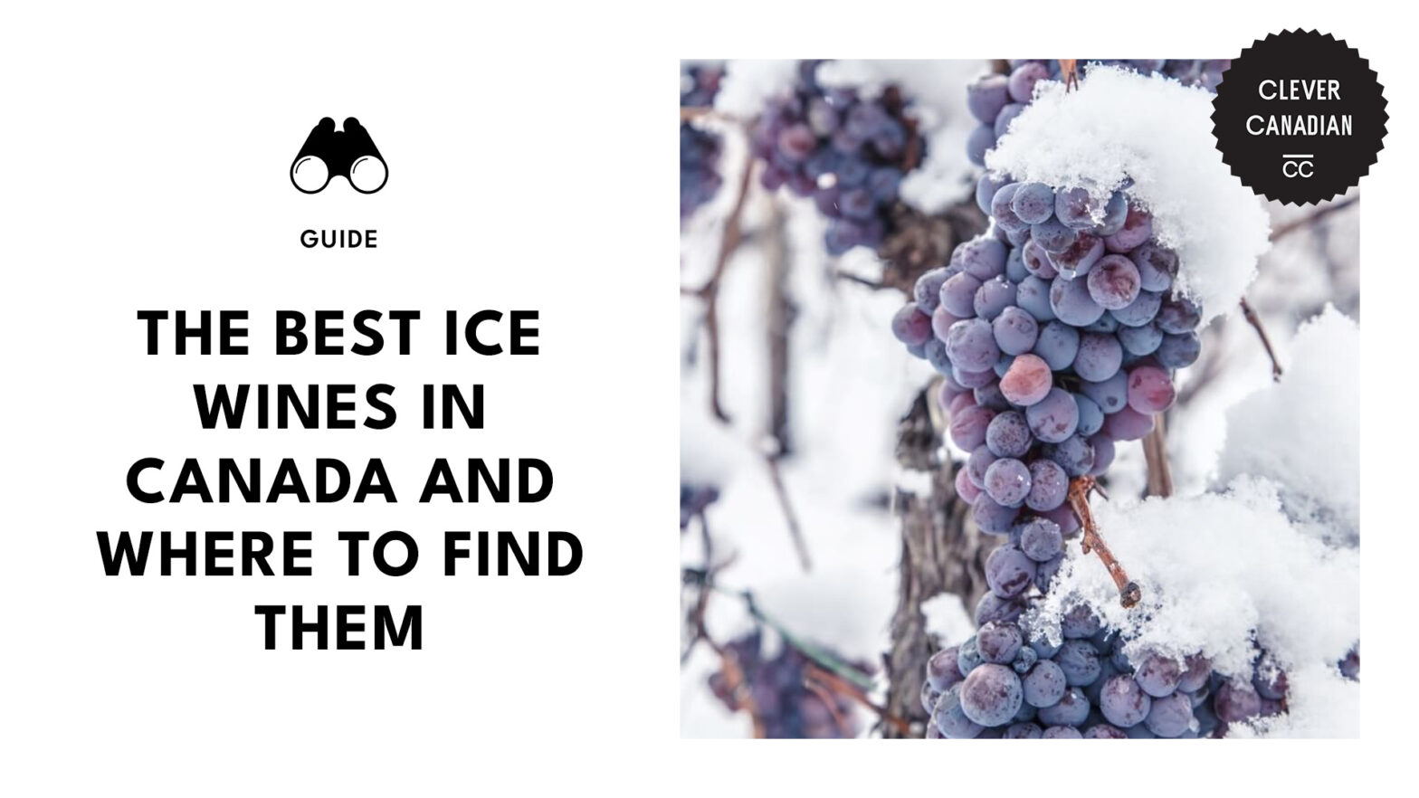 5 Most Coveted Ice Wines in Canada and Where to Find Them