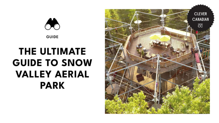 Everything You Need to Know About Snow Valley Aerial Park [2026]