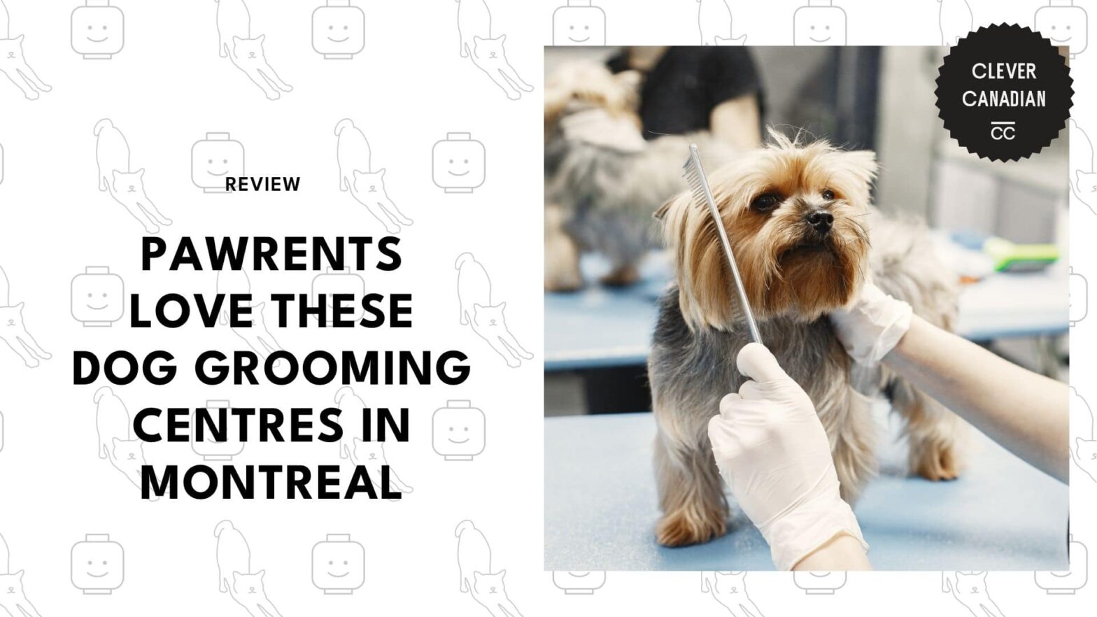 Top 5 Montreal Dog Groomers You NEED to Know About [2025]