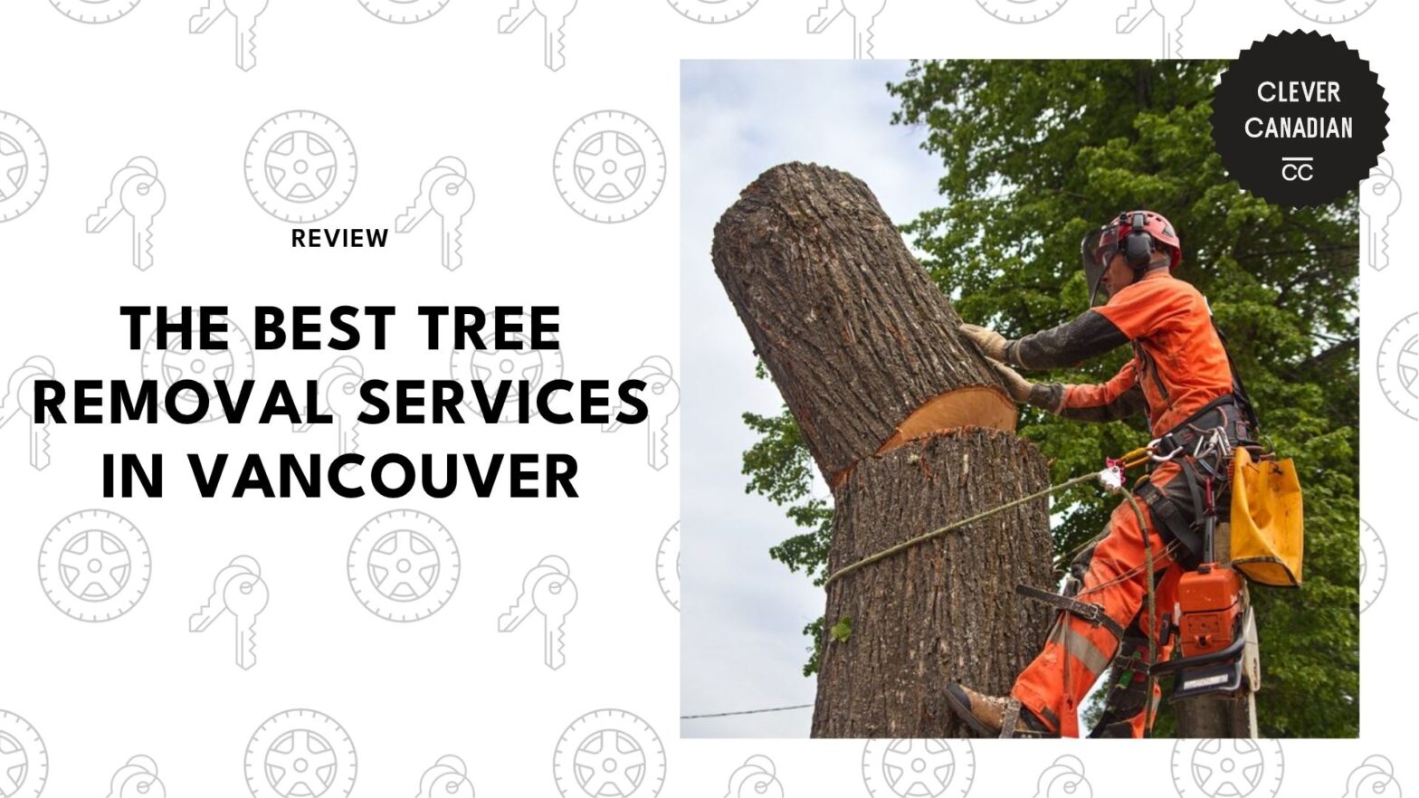 Vancouver’s Top 5 Tree Removal Services You Can Rely On [2026 ]